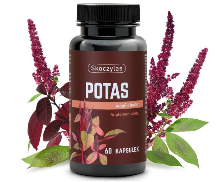 SKOCZYLAS Potas + Wapń + Fosfor, 60 kapsułek | Produkty \ Inne ...